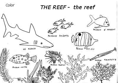 free animal coloring pages